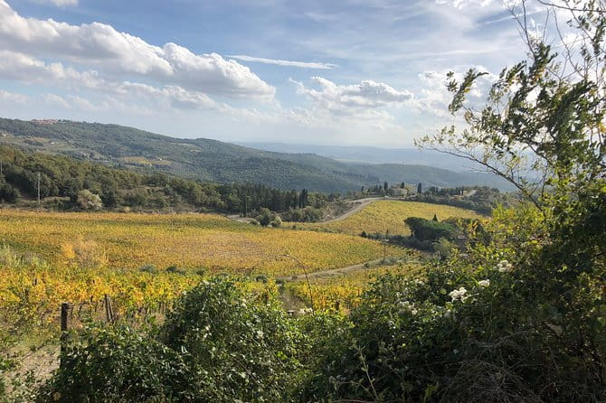 Small Intimate Group: San Gimignano - Two Wine Tours with lunch - What Makes This Tour Stand Out?