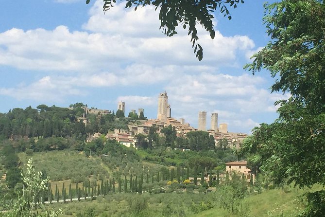 Small Intimate Group: San Gimignano - Two Wine Tours With Lunch - Key Points
