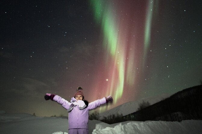 Small Northern Lights Tour Max5 Guests PRO Photographer Included - Guest Reviews and Testimonials
