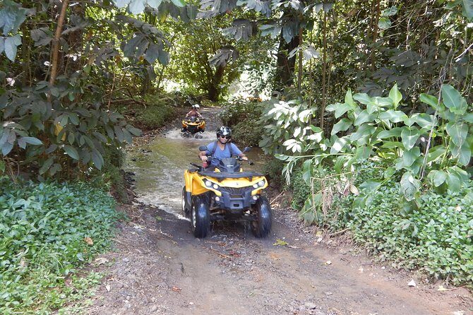 Small Quad Tour 2h30 Quad excursion in Moorea (single or two-seater) - The Cost-Value Relationship