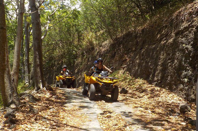 Small Quad Tour 2h30 Quad excursion in Moorea (single or two-seater) - The Sum Up