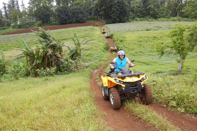Small Quad Tour 2h30 Quad excursion in Moorea (single or two-seater) - FAQ