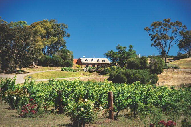 Small Tour Barossa Valley Voyager Tour from Adelaide - FAQ