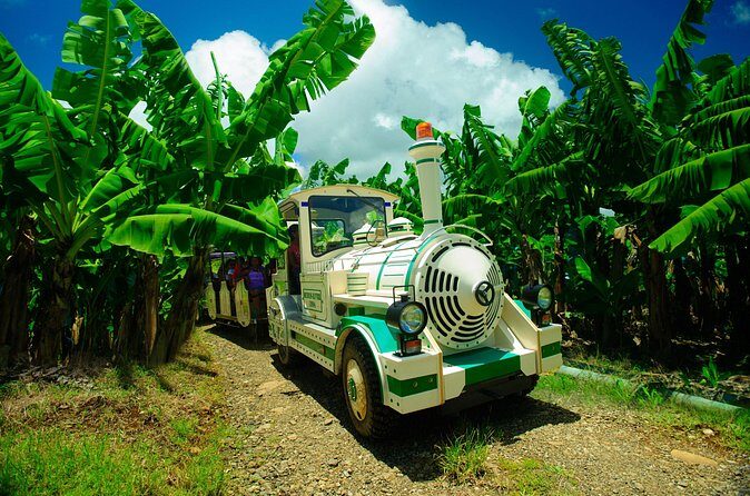 Small train tour of a banana farm in Martinique - FAQ