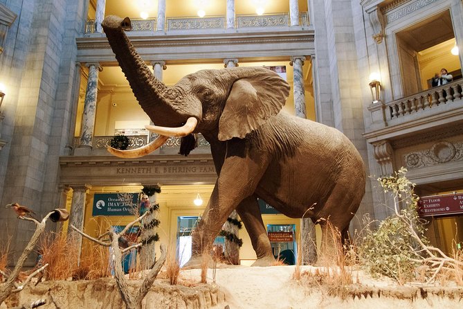 Smithsonian Museum of Natural History - Exclusive Guided Tour - The Sum Up