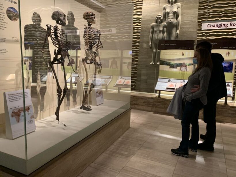 Smithsonian National Museum of Natural History Guided Tour - Key Points