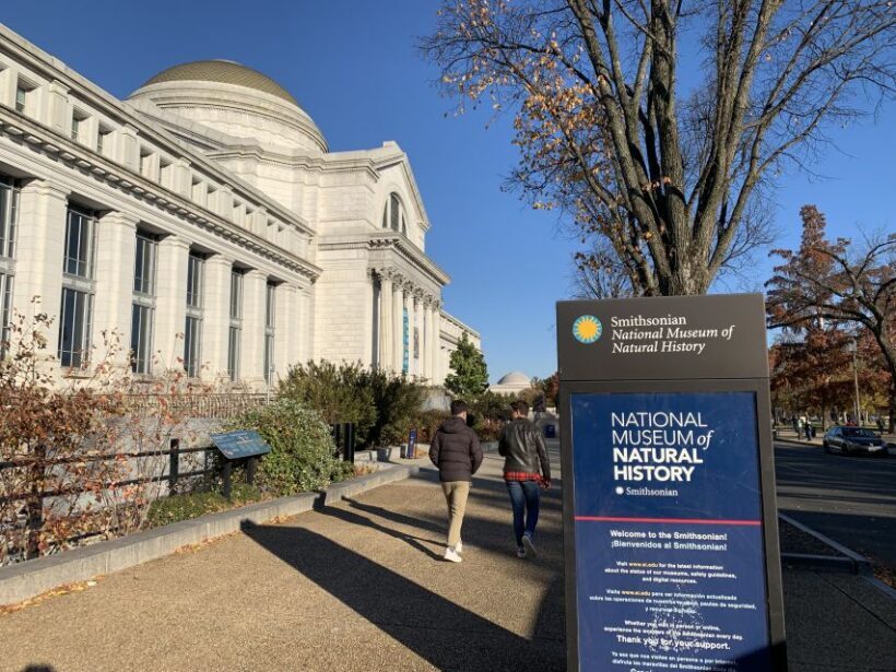 Smithsonian National Museum of Natural History Guided Tour - Who Will Love This Tour?