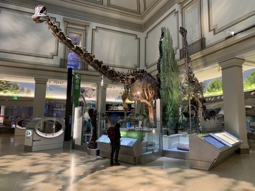 Smithsonian National Museum of Natural History Guided Tour - The Sum Up
