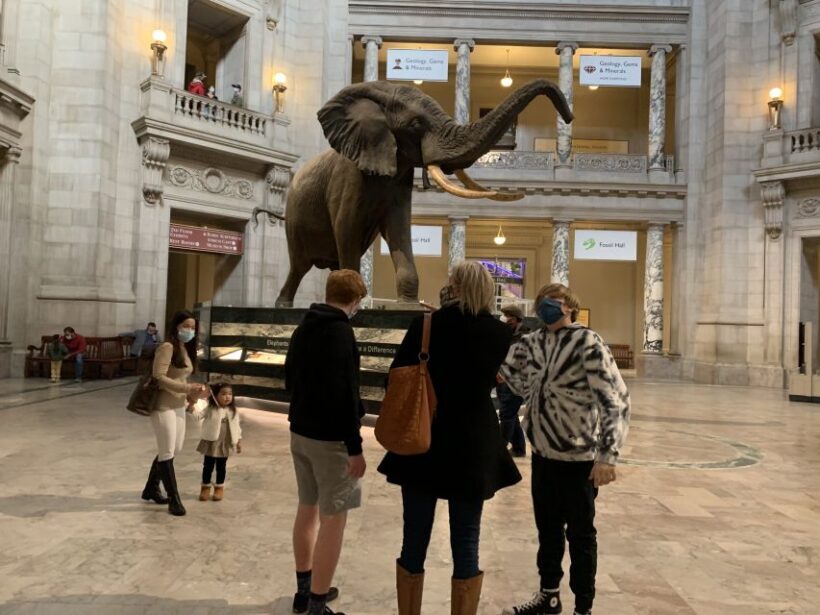 Smithsonian National Museum of Natural History Guided Tour - FAQs