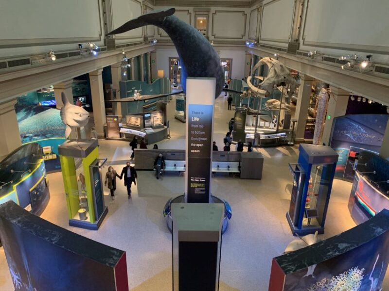 Smithsonian National Museum of Natural History Guided Tour - Who Will Love This Tour?