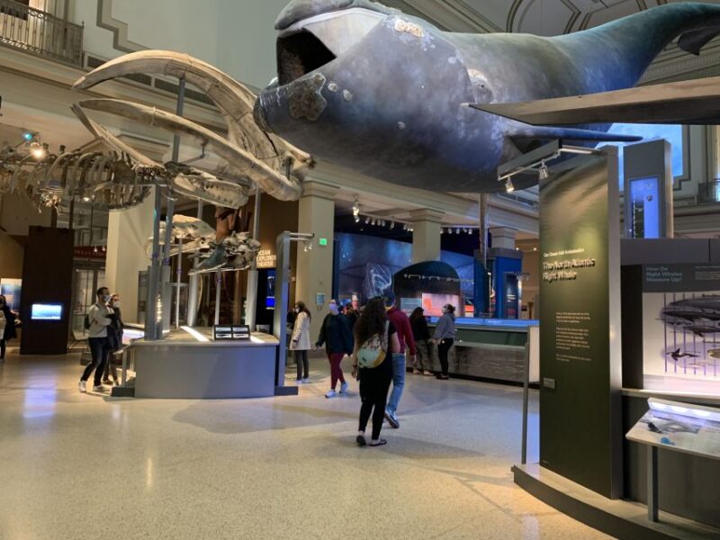 Smithsonian National Museum of Natural History Guided Tour - Considerations and Tips