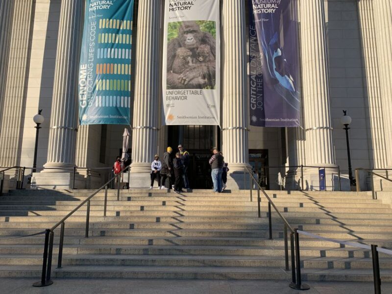 Smithsonian National Museum of Natural History Guided Tour - Final Thoughts