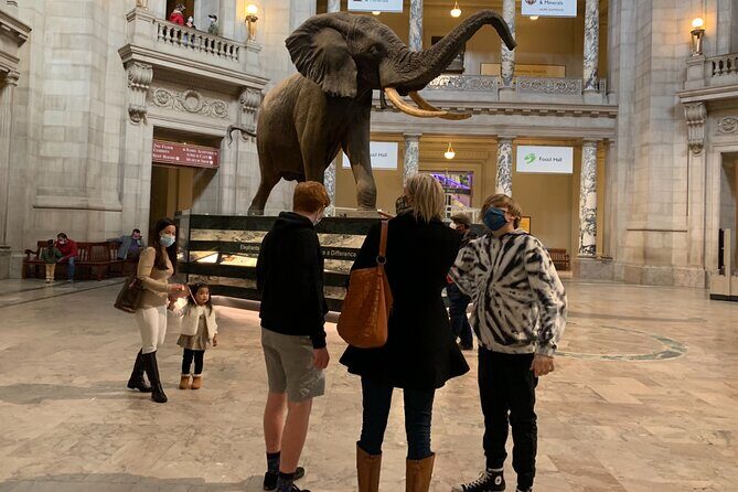 Smithsonian National Museum of Natural History with Guided Tour - Real Traveler Insights