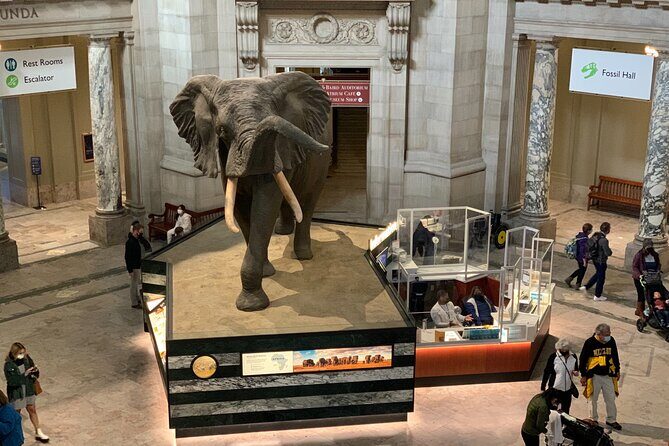 Smithsonian National Museum of Natural History with Guided Tour - Deep Dive: Why It Works for You