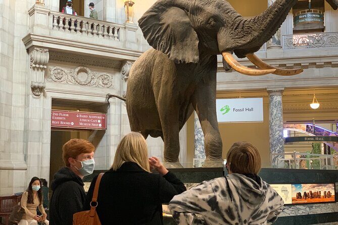 Smithsonian National Museum of Natural History with Guided Tour - Final Thoughts: Is This Tour Worth It?