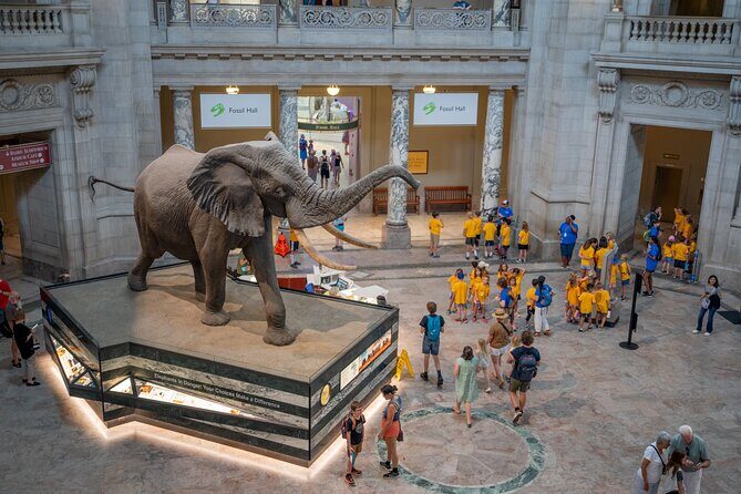 Smithsonian Natural History Museum Semi-Private Guided Tour - Key Points