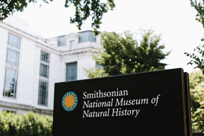 Smithsonian Natural History Museum Tour Semi-Private 8ppl - FAQ