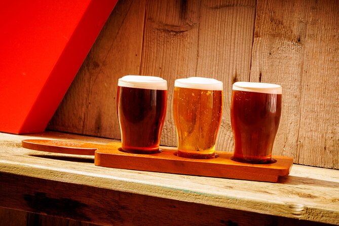 Smithwicks Experience Kilkenny Entrance Ticket - Visitor Experiences and Reviews