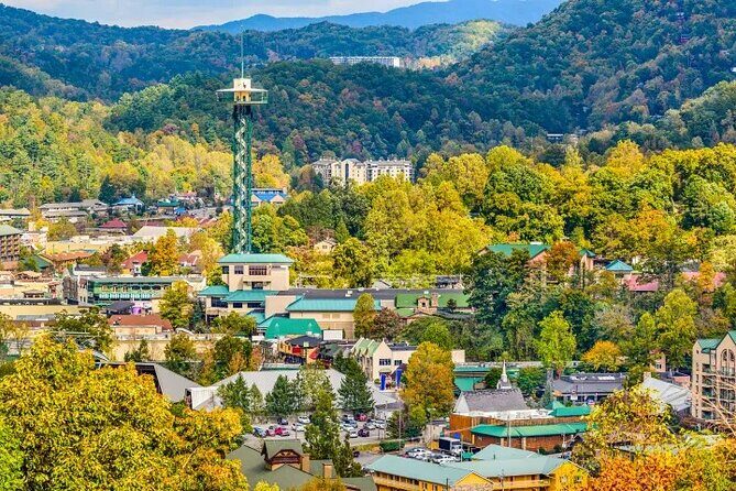 Smokies Adventure Loop Jeep Tour - Key Points