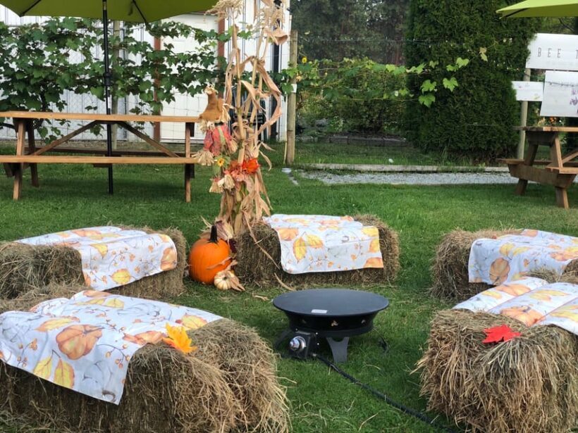 Smokies, Fire-Roasted S'mores and Fall Fun at Kelowna Winery - Smokies, Fire-Roasted Smores and Fall Fun at Kelowna Winery