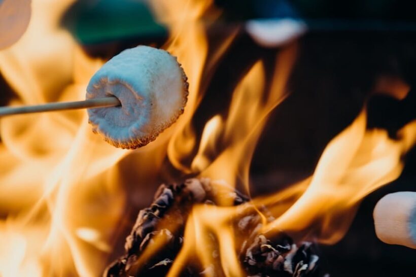 Smokies, Fire-Roasted S'mores and Fall Fun at Kelowna Winery - An In-Depth Look at the Kelowna Farm Experience