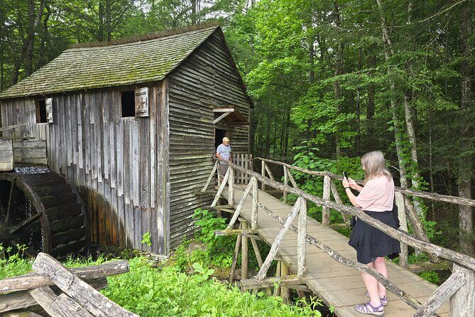 Smoky Mtn Cades Cove, RR/Logging Museum-Foothills Pky Spring Tour - What This Tour Means for Travelers
