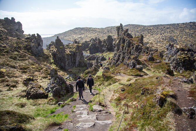 Snaefellsnes and Kirkjufell Day Tour by Minibus from Reykjavik - Who Should Consider This Tour?