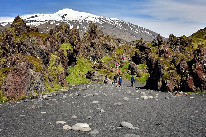 Snaefellsnes National Park Small-Group Tour From Reykjavik - Traveler Experiences