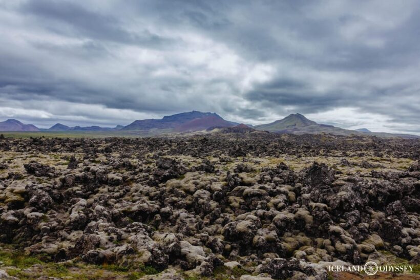 Snæfellsnes peninsula: Small Group tour by van - FAQ