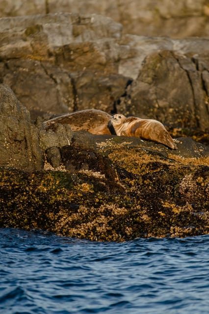 Snaefellsnes Peninsula Tour from Reykjavik - Who Should Consider This Tour?
