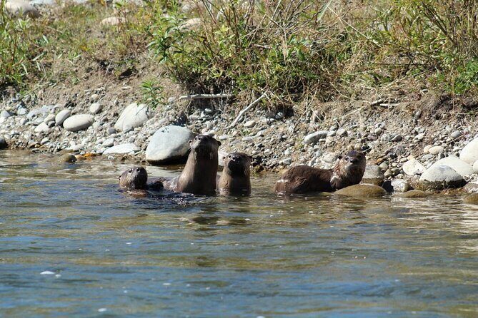 Snake River Scenic Float with Chairs - Final Thoughts: Is This Experience Worth It?