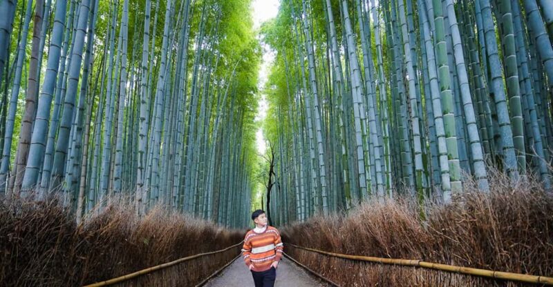 SnapKyoto Private Photoshoots & Tours - Lighting Conditions and Enhancements