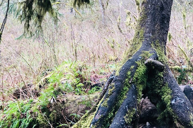 Snoqualmie falls and Twin Falls Hike - Practical Details and Tips