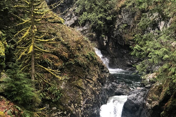 Snoqualmie falls and Twin Falls Hike - The Sum Up: A Worthwhile Half-Day Adventure