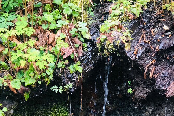 Snoqualmie falls and Twin Falls Hike - FAQ