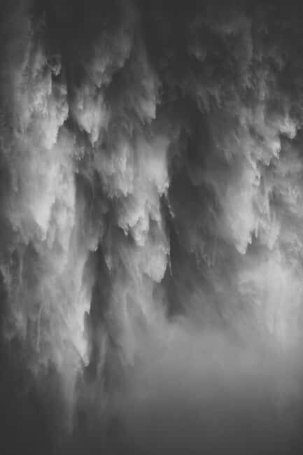 Snoqualmie, Twin Falls & Ancient Forest (Transport Included) - Discover the Beauty of Washington’s Cascades: Snoqualmie, Twin Falls & Ancient Forest Tour
