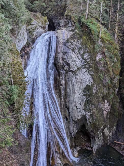 Snoqualmie, Twin Falls & Ancient Forest (Transport Included) - Key Points