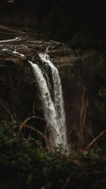 Snoqualmie, Twin Falls & Ancient Forest (Transport Included) - FAQ