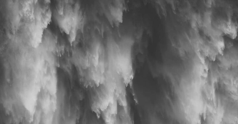 Snoqualmie, Twin Falls & Ancient Forest (Transport Included) - The Itinerary in Detail