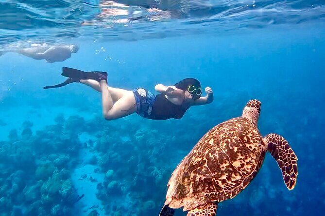 Snorkel Adventure at Bonaire Marine Park - Why We Love the Bonaire Marine Park Snorkel Tour
