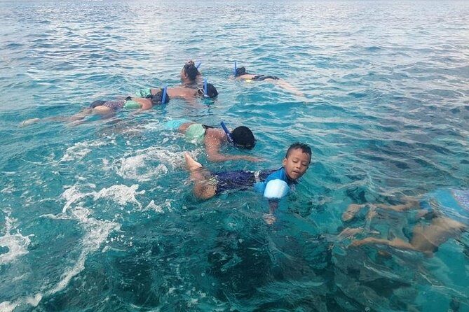 Snorkel Adventure at Cozumel! Transportation from Cancun & Playa Del Carmen - An Honest Look at the Snorkel Adventure at Cozumel