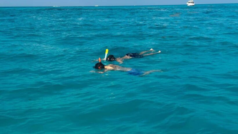 Snorkel Adventure for All Ages in Cancun 2.5 hrs - Introduction: A Relaxed Reef Encounter