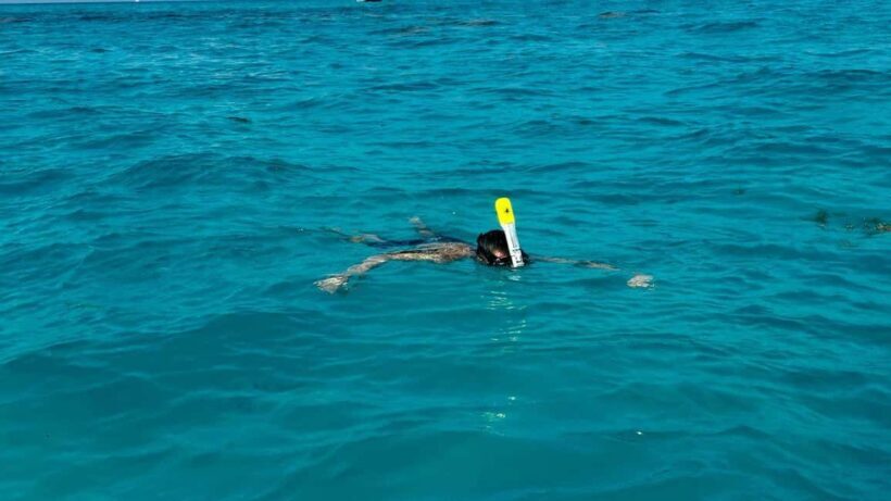 Snorkel Adventure for All Ages in Cancun 2.5 hrs - The Little Extras That Make a Difference