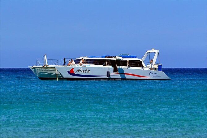 Snorkel Adventure from Kawaihae Harbor - What to Expect on the Tour