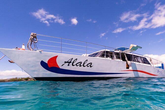 Snorkel Adventure from Kawaihae Harbor - The Value of the Experience