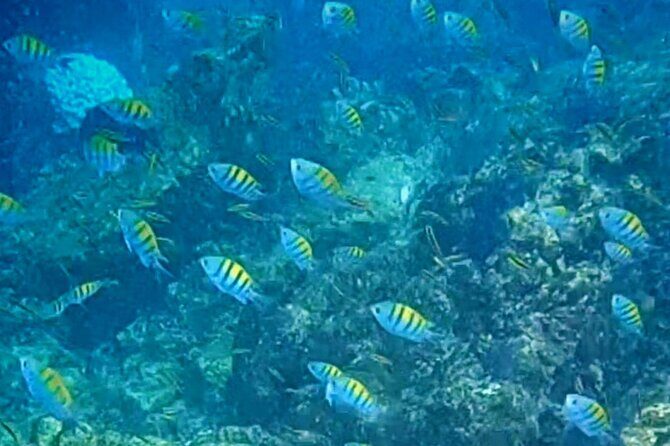 Snorkel Adventure in Marietas Islands or Punta Mita Reefs - Final Thoughts