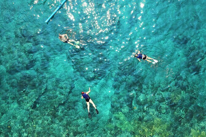 Snorkel Adventure through the Sea of Cortez - Is This Tour Worth It?
