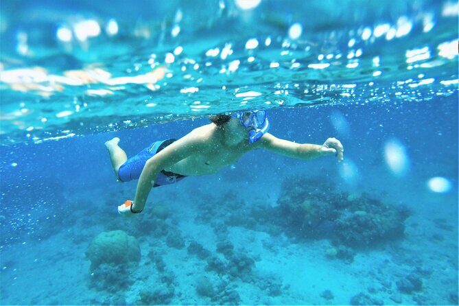 Snorkel Adventure through the Sea of Cortez - Frequently Asked Questions