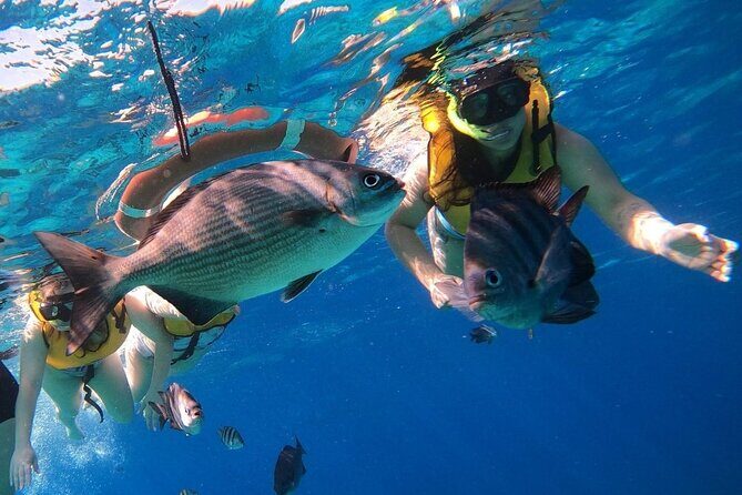 Snorkel along the coast, explore two reefs by Chivis del Mar - The Sum Up