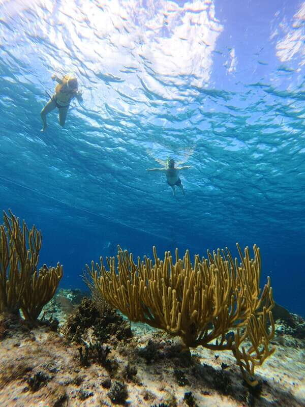 Snorkel along the coast with Chivis Del Mar. - Key Points